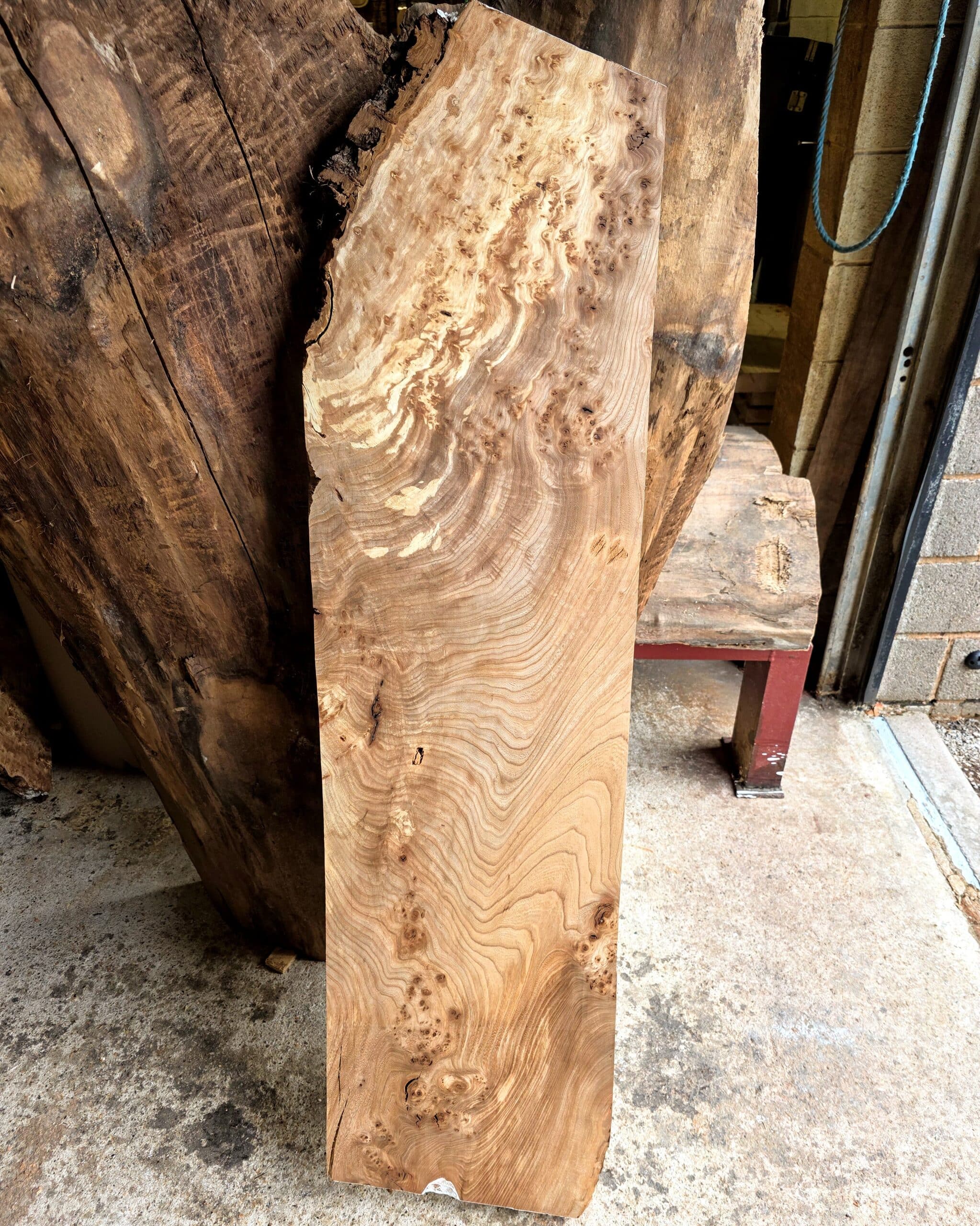 Elm Burl Live Edge Wood Slab 1500x395x60mm 001 | Luthierwood & Artisan ...