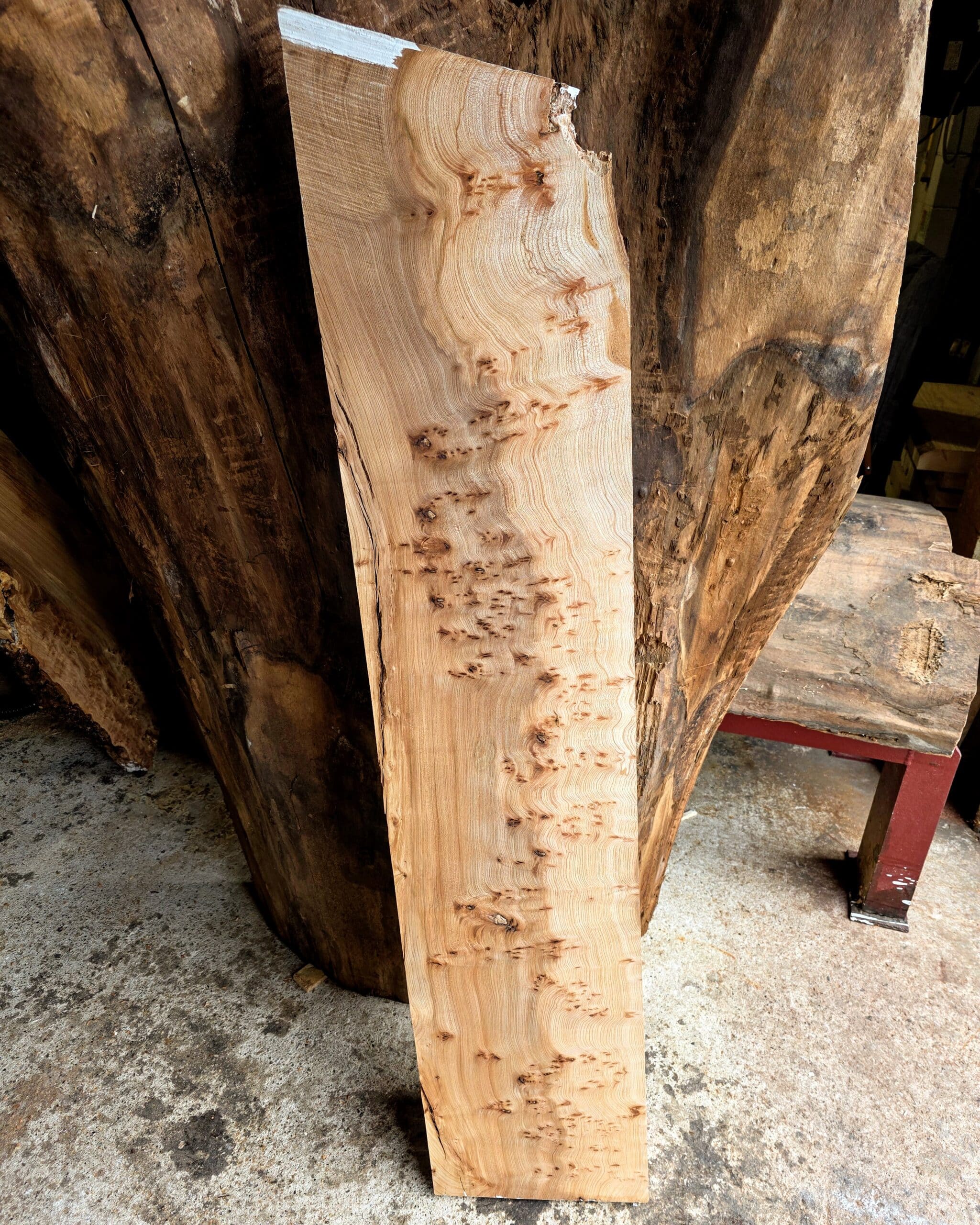 Elm Burl Live Edge Wood Slab 1390x300x65mm 003 | Luthierwood & Artisan ...