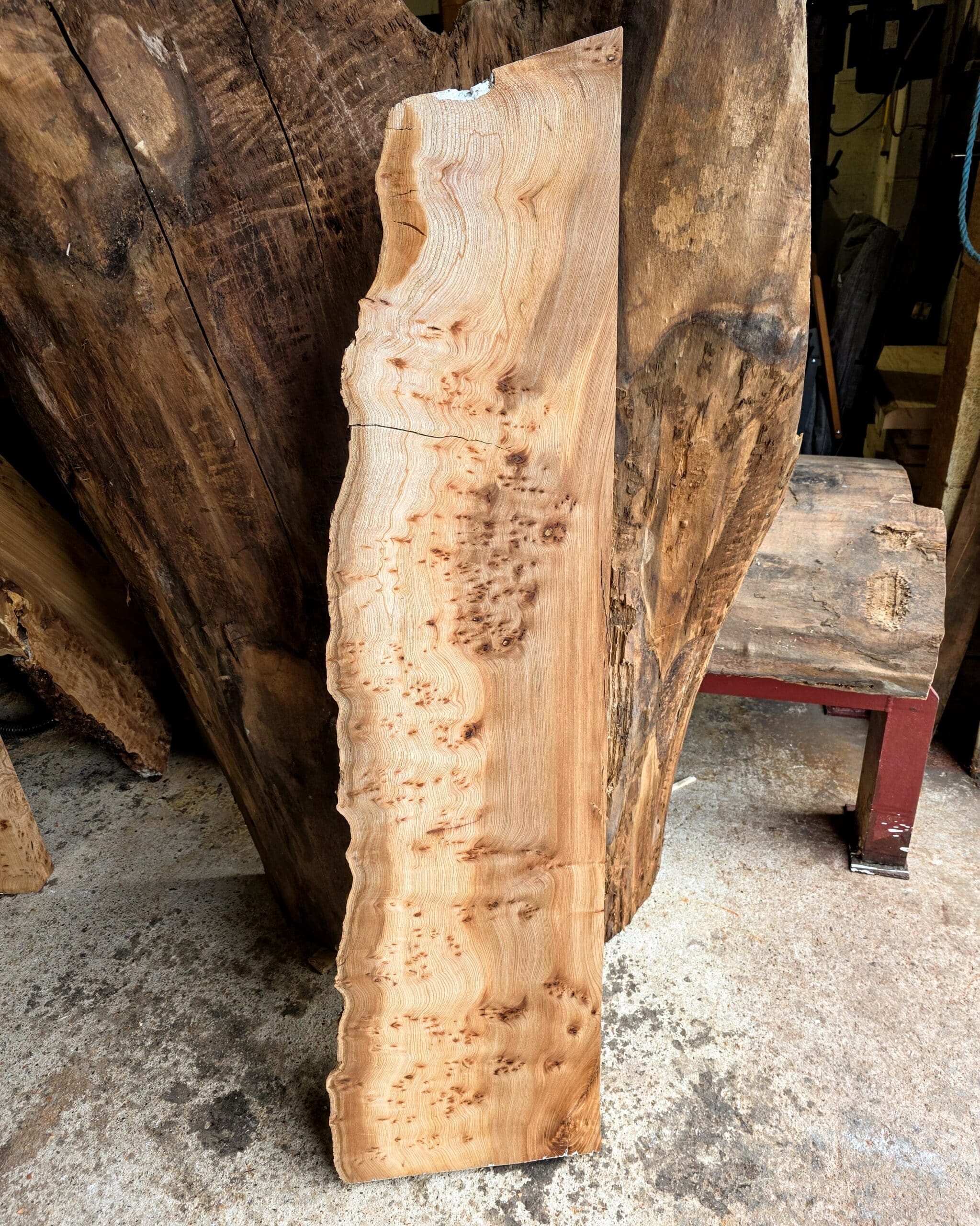 Elm Burl Live Edge Wood Slab 1380x325x70mm 004 | Luthierwood & Artisan ...