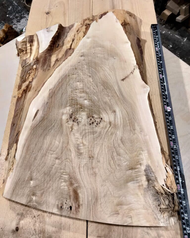 Poplar Burl Live Edge Wood Blank 01 | Luthierwood & Artisan Supplies