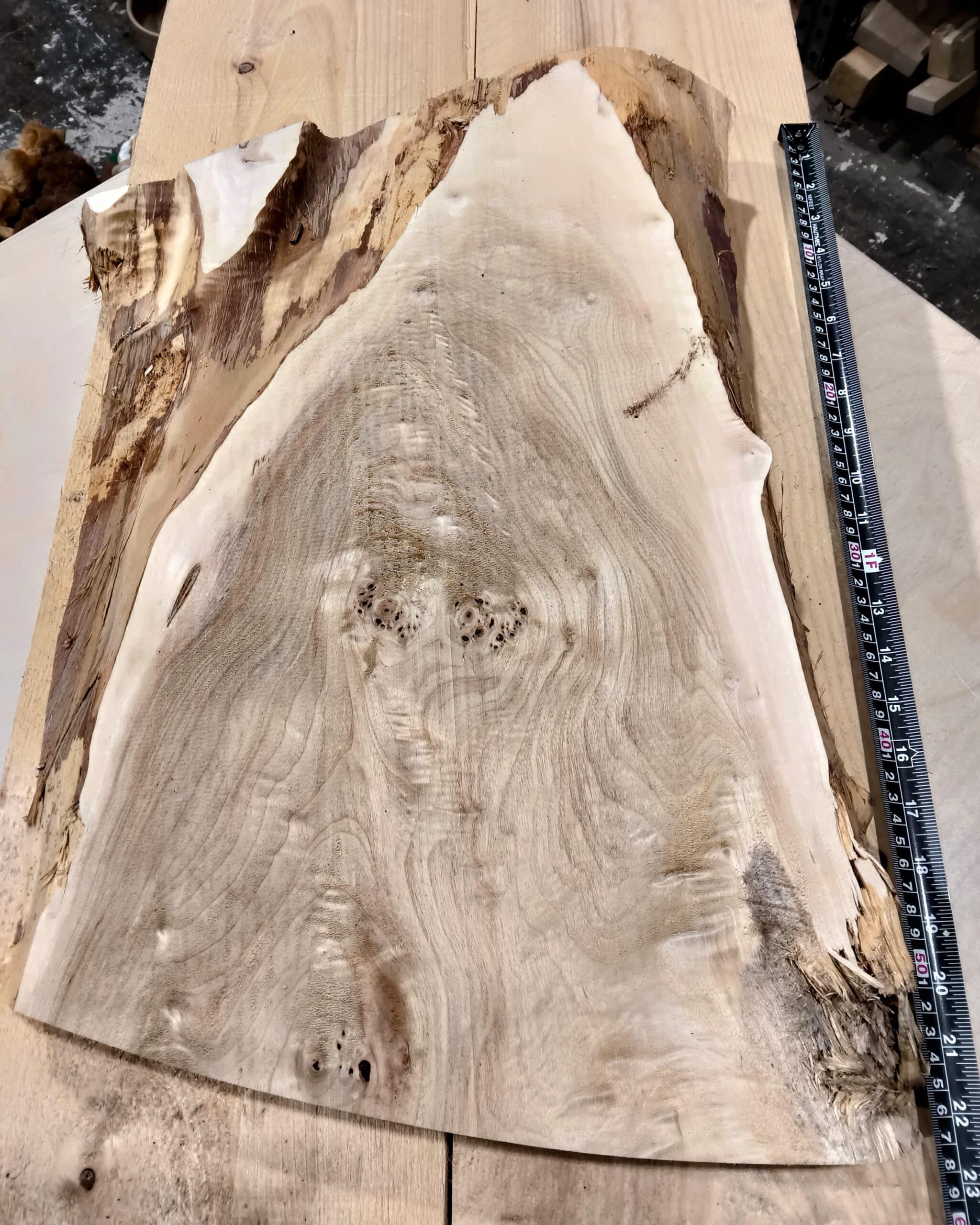 Poplar Burl Live Edge Wood Blank 01 | Luthierwood & Artisan Supplies